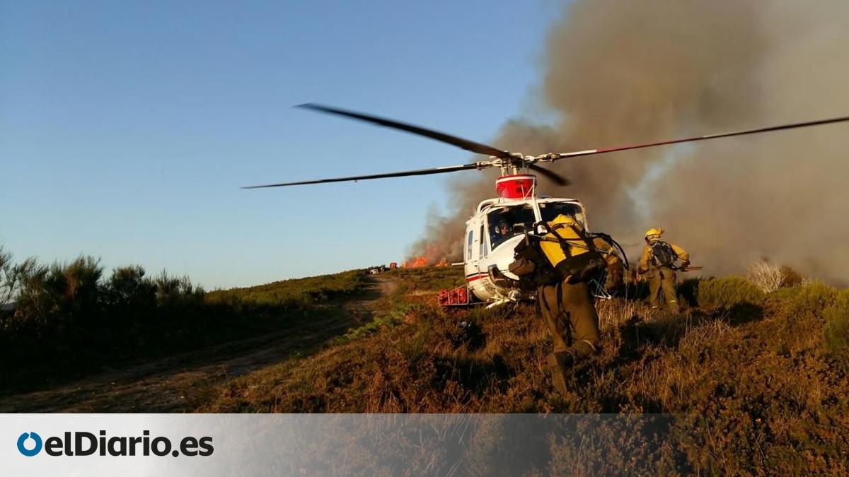 El 80 De Las 62 000 Hect reas Arrasadas Por Los Incendios De 2017 En el-80-de-las-62-000-hect-reas-arrasadas-por-los-incendios-de-2017-en