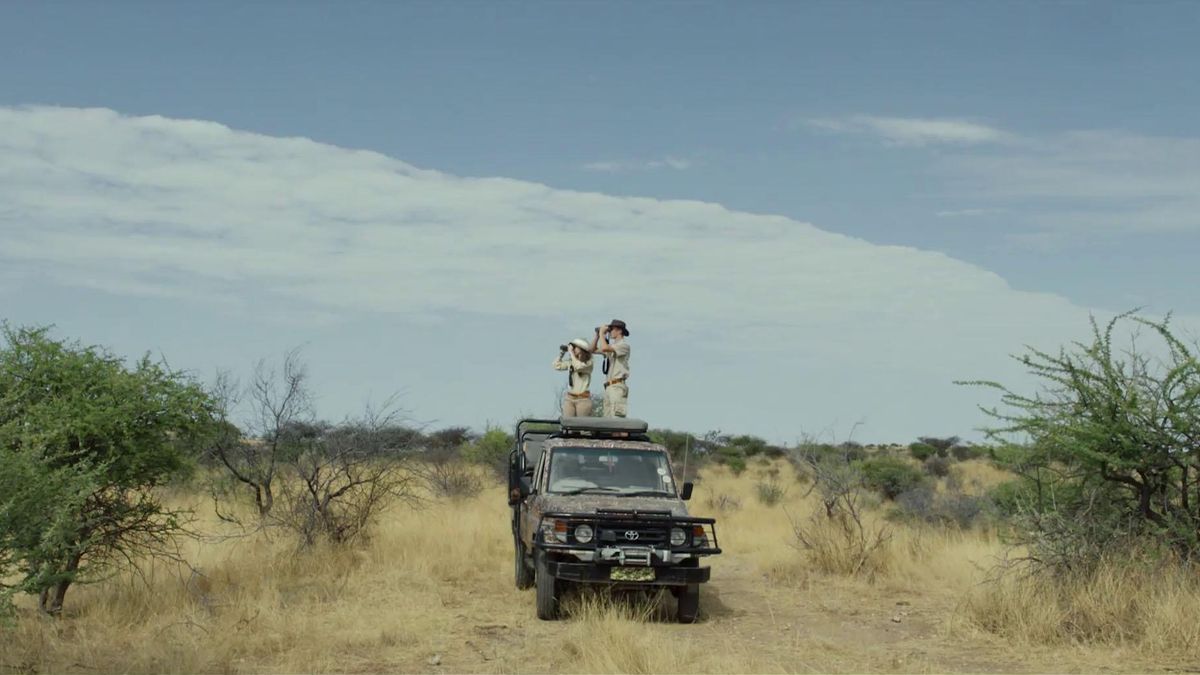 Safari: matar a un animal