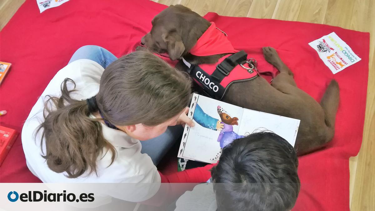 Perros de asistencia social para niños con autismo: reducen el estrés ...