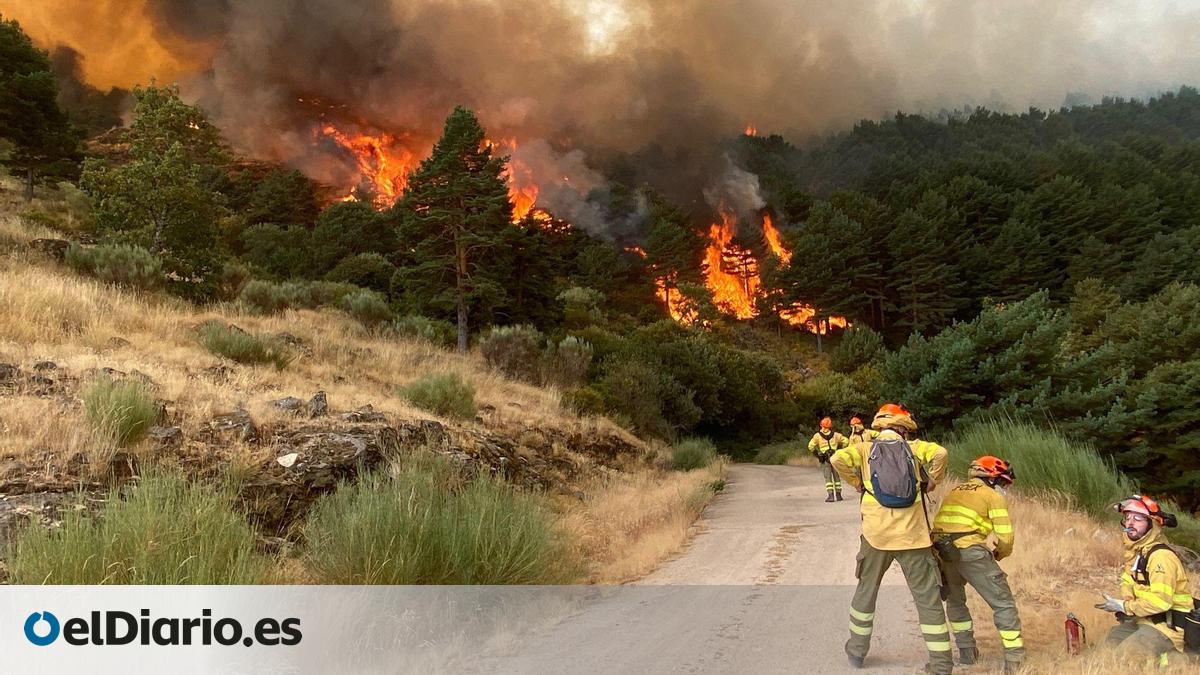 El incendio de Jarilla en Cáceres, “casi consolidado” tras arrasar 16. ...