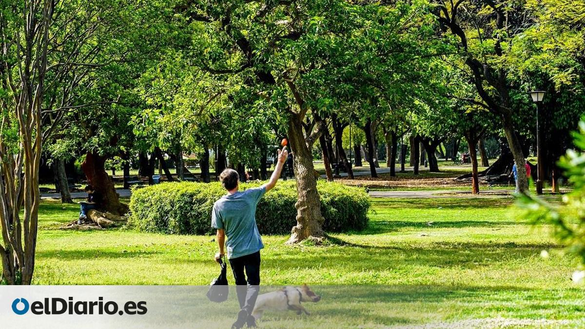 EL TIEMPO EN ANDALUCÍA: Ambiente soleado y suave el fin de semana en ...