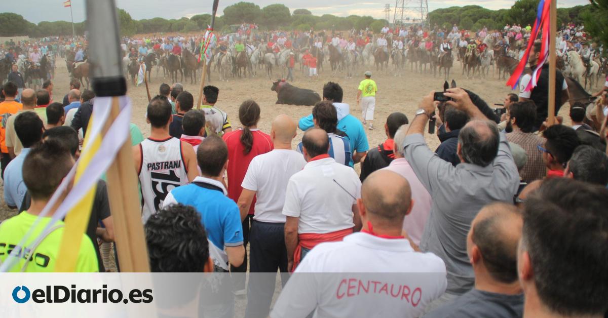 Ruth Toledano, agredida en el Toro de la Vega: "Es una muestra de la ...