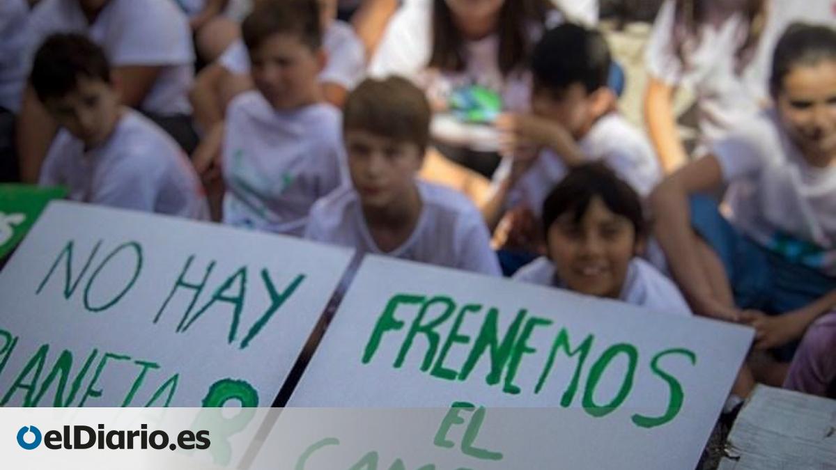 Teachers For Future Spain, o cómo el 'efecto Greta Thunberg' se coló ...