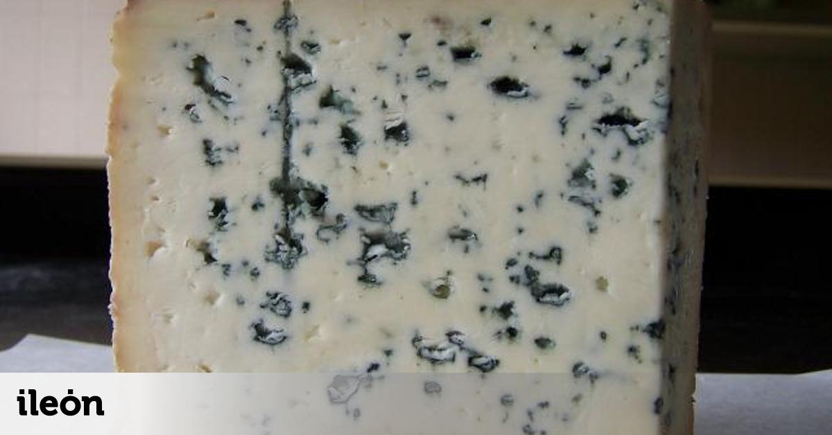 La I.G.P. Queso de Valdeón, galardonada en los Premios de Gastronomía ...