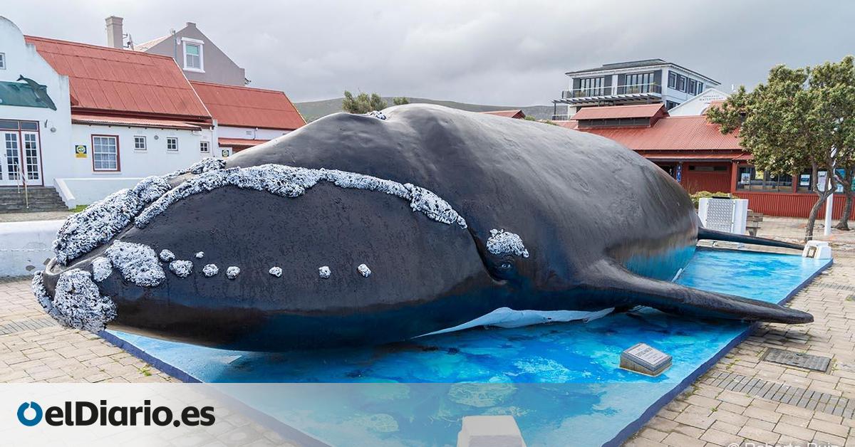 Hermanus, el pueblo de las ballenas