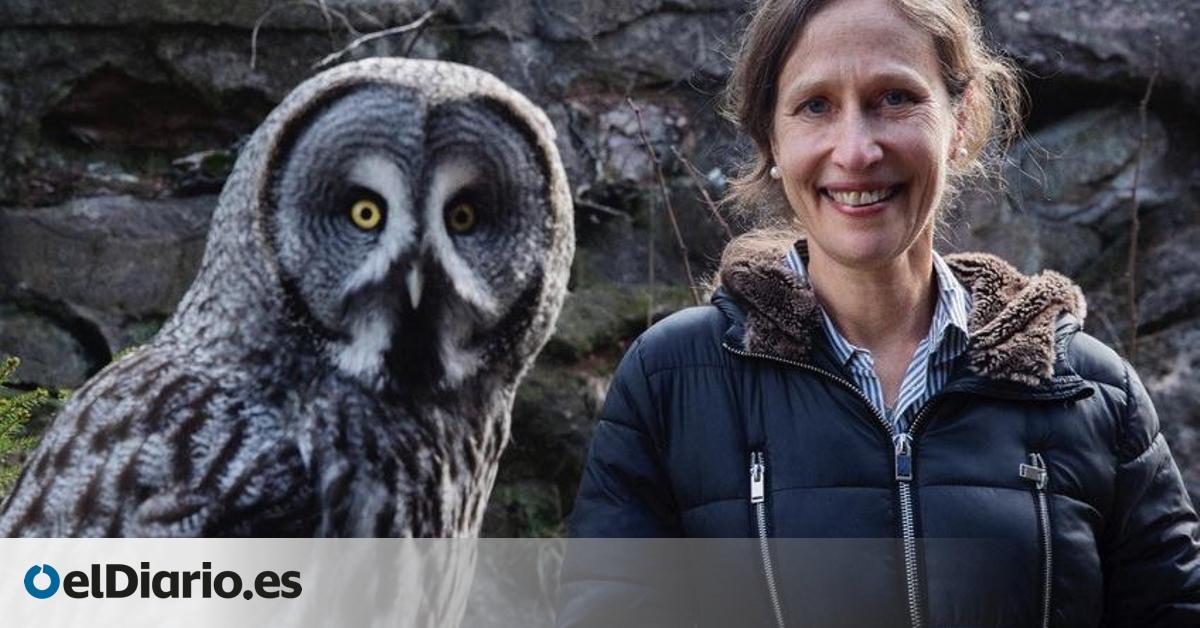 Jennifer Ackerman, naturalista: “Ojalá fuéramos como los búhos y ...