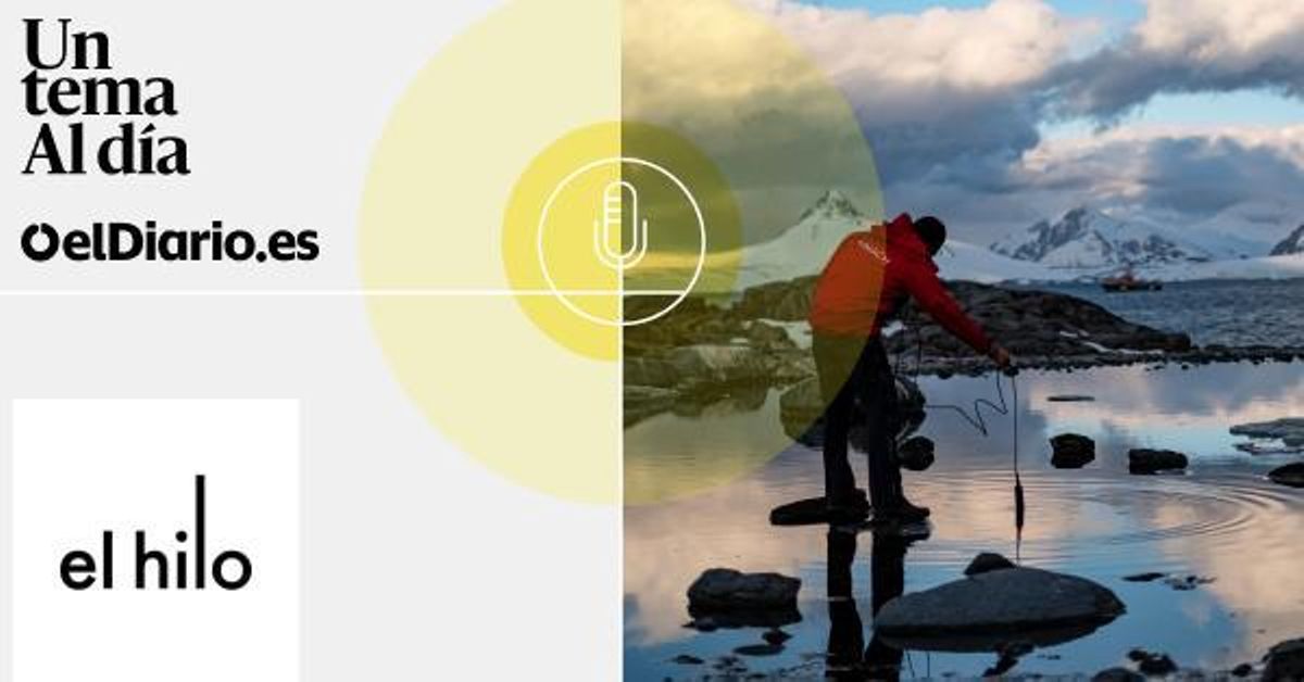 🎙 PODCAST | El hilo - Al día, boletín y podcast de actualidad