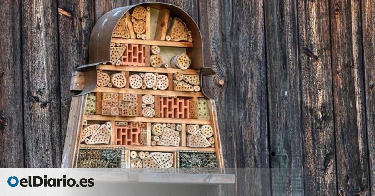 Tres modelos de hoteles para insectos para tu terraza o jardín