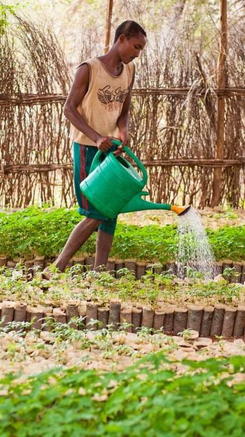 Dollo Ado: vida después de la crisis en el Cuerno de África