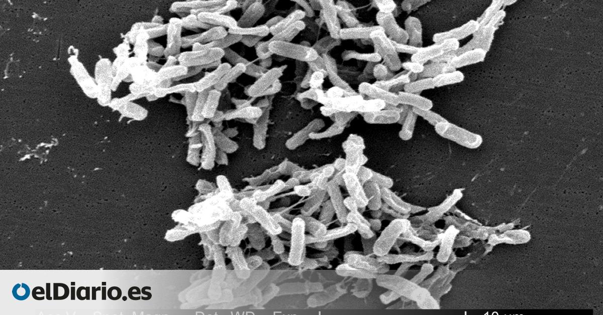 Bokep pemersatu fun this girl has a sexy Hispanic accent