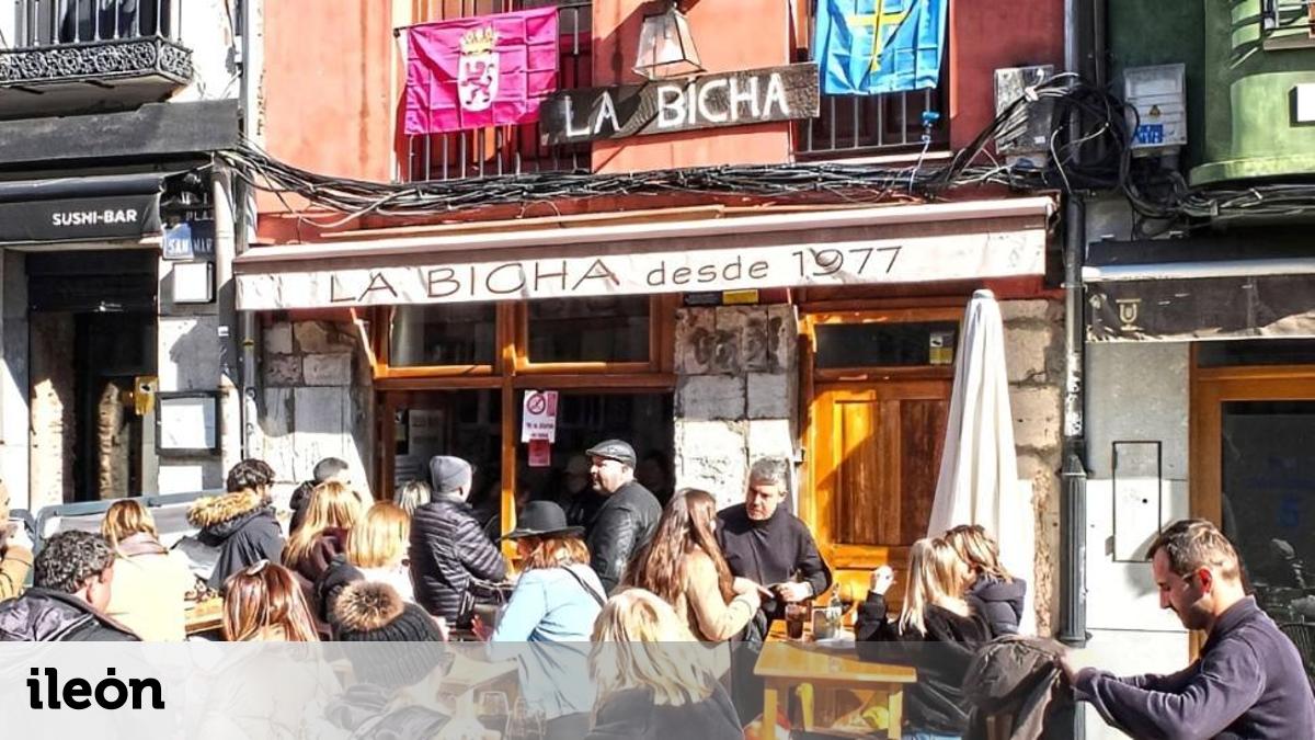 La Bicha y El Rincón de Armunia, entre los nuevos cuatro 'Soletes de ...