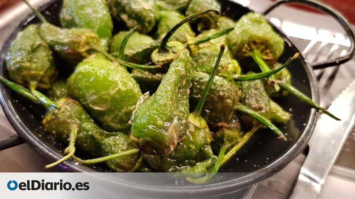 Pimientos de Padrón: ¿por qué unos pican y otros no?