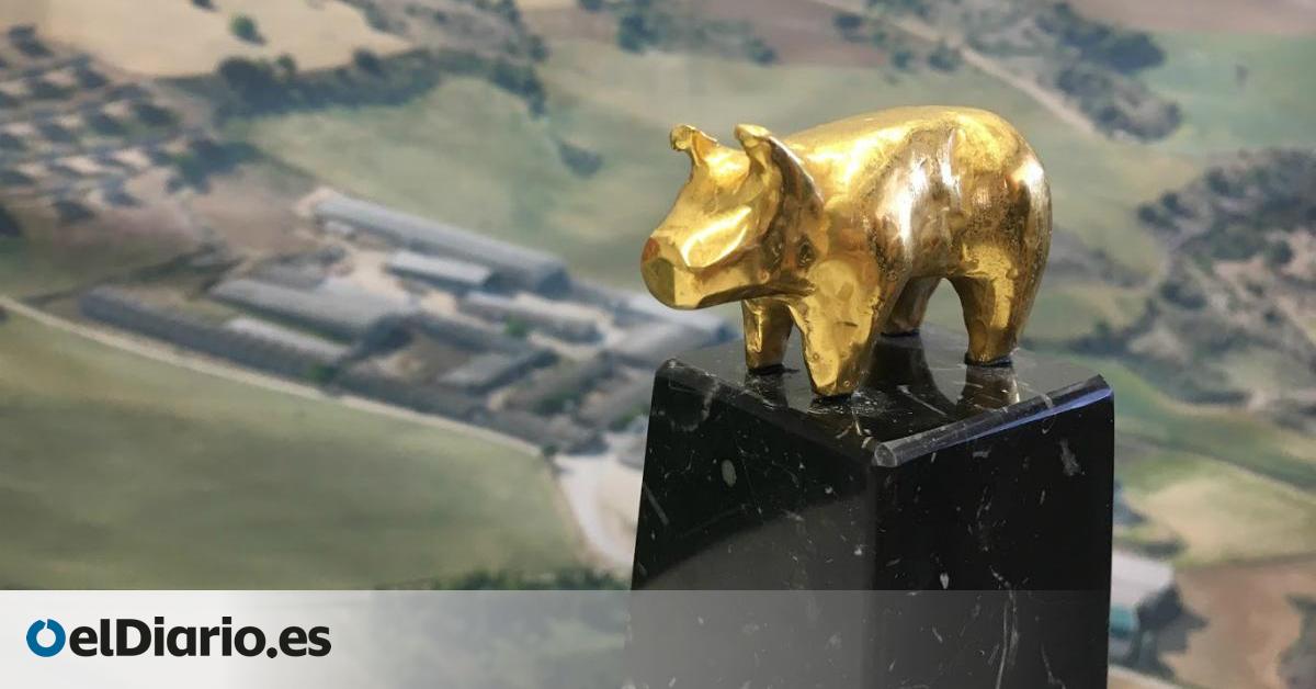 Granja Alvima Porcino, en Alesanco, consigue un premio Porc d'Or