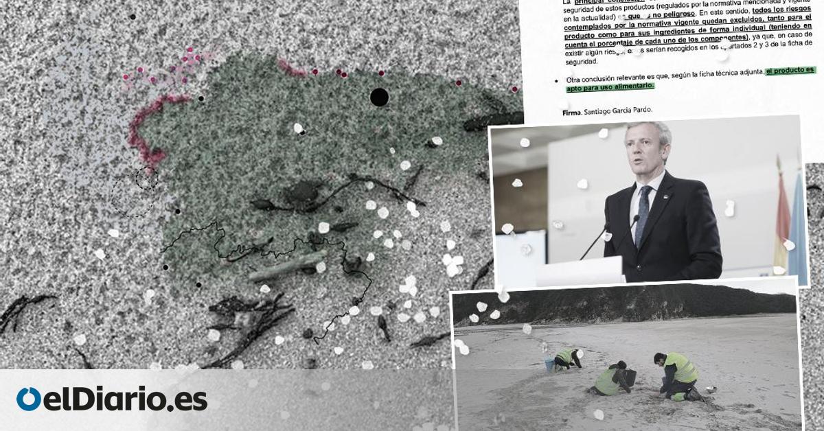 Cronología del vertido de pellets que ha invadido la costa norte de España