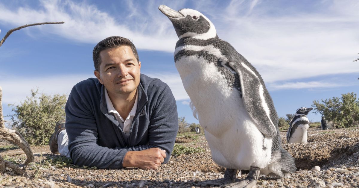 Un argentino ganó el Indianápolis Prize, el "Premio Nobel" de la ...