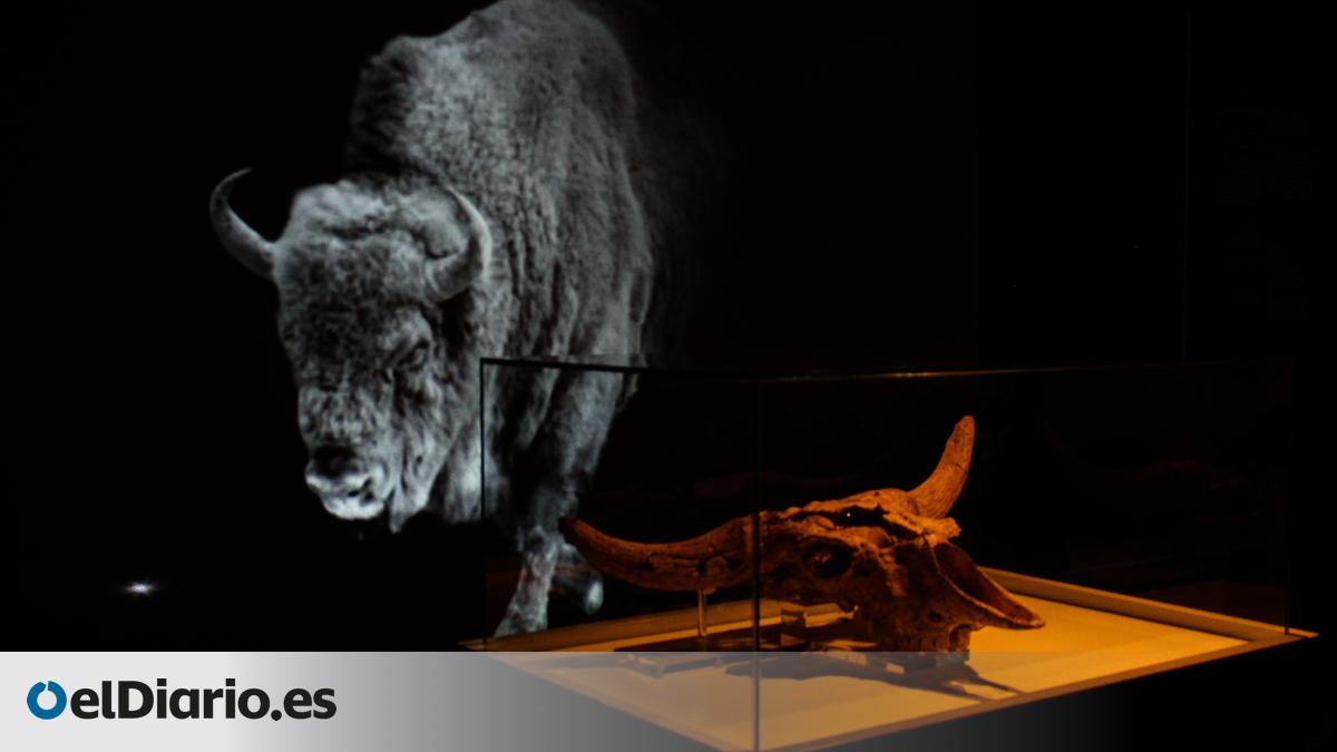 El bisonte que inspiró Altamira