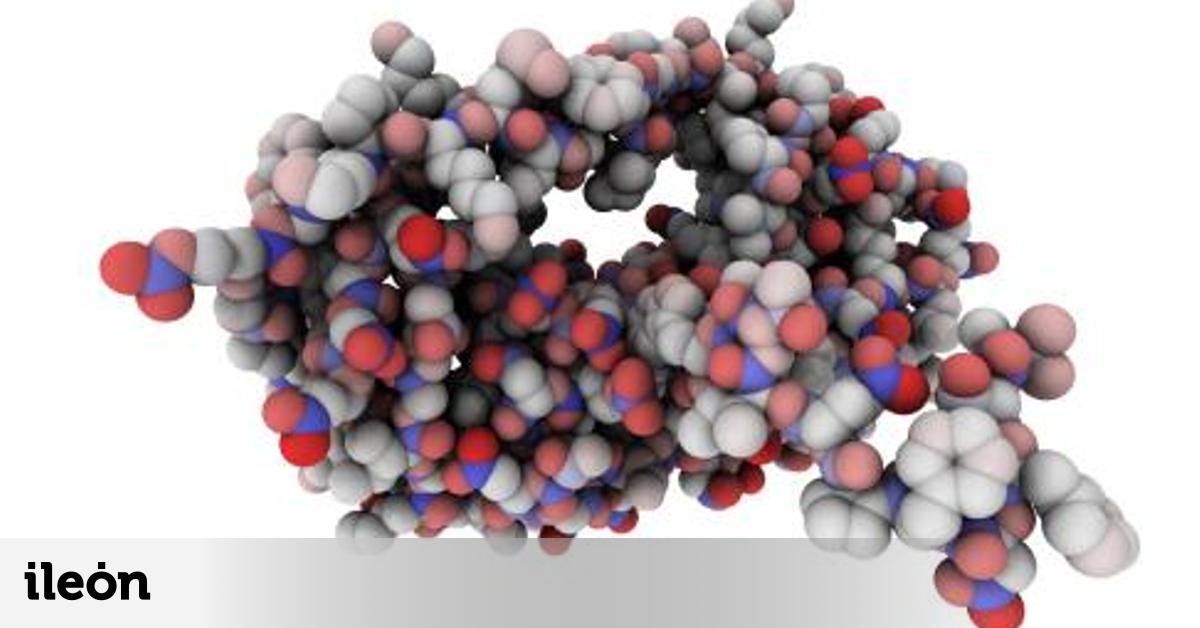 Simulan por primera vez un paso clave en la maduración del virus del sida