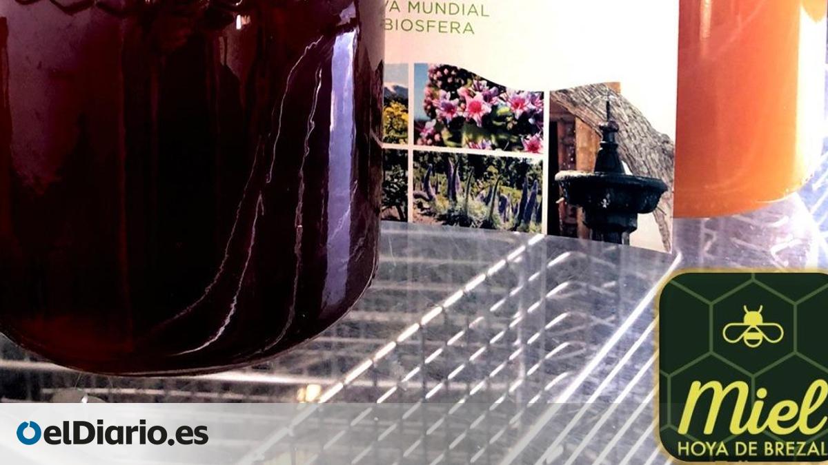 Una miel de tedera de La Palma sin DOP se lleva la ‘Gran Celdilla de ...