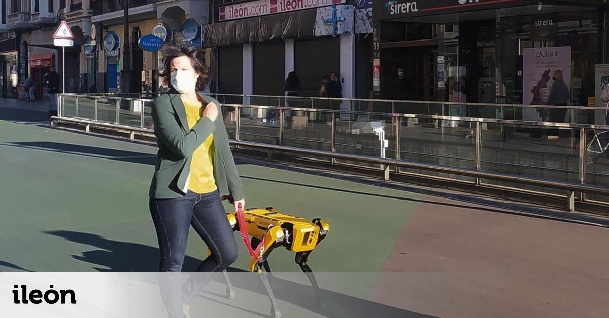 La empresa leonesa Plain Concepts desarrollará software para el perro ...