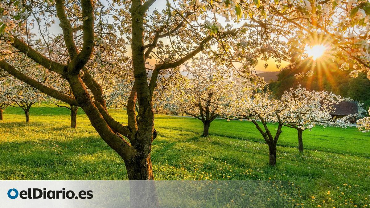 Hoy empieza la primavera 2026 en España: a qué hora exacta es el equinoccio