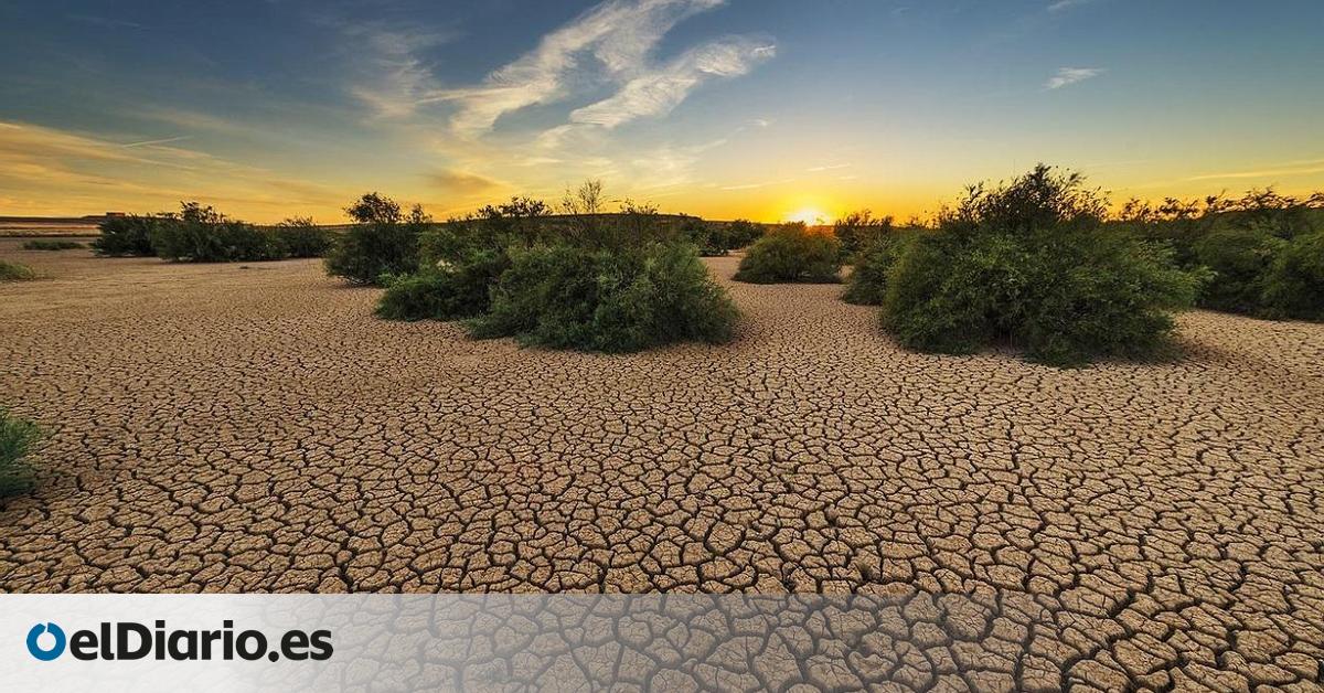 Desertificación de España: ¿qué puedo hacer como consumidor para ...