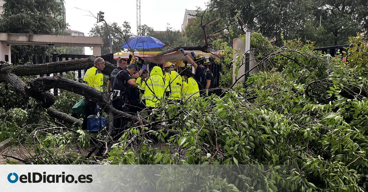 Chatango mega she greeted me at the door with a squeeze and