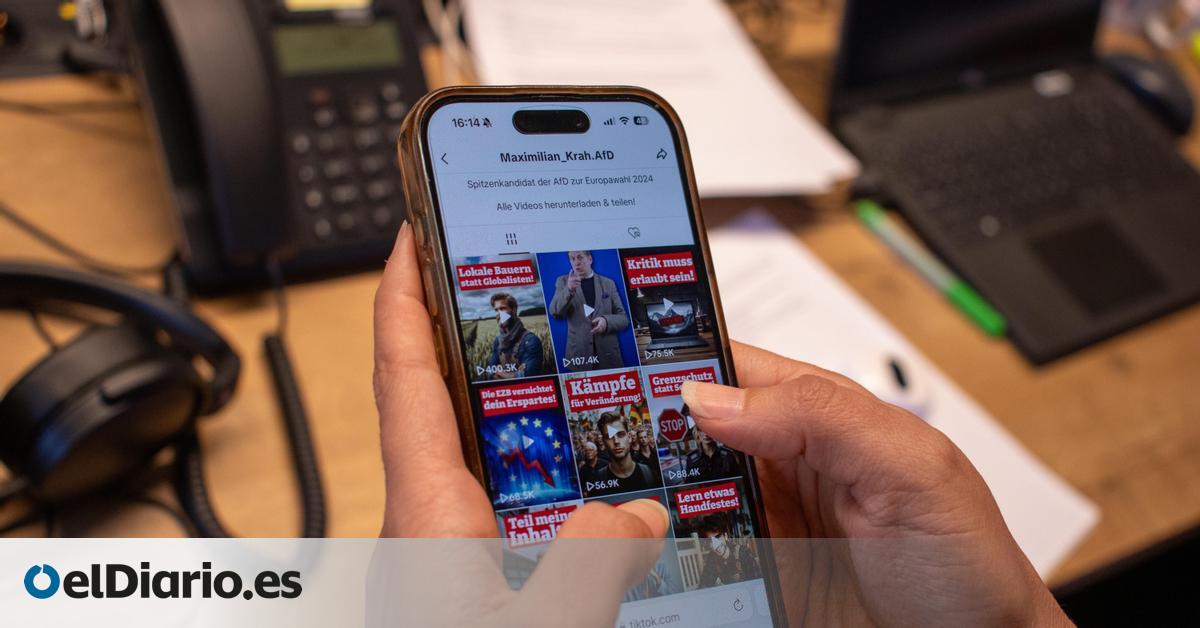 Guerrilla digital para un régimen etnicista: el uso de TikTok de la ...