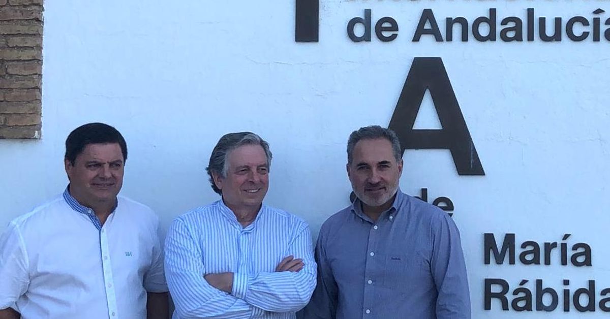 Ángel Losada: "El líder más capaz, con la mayor experiencia, comete ...