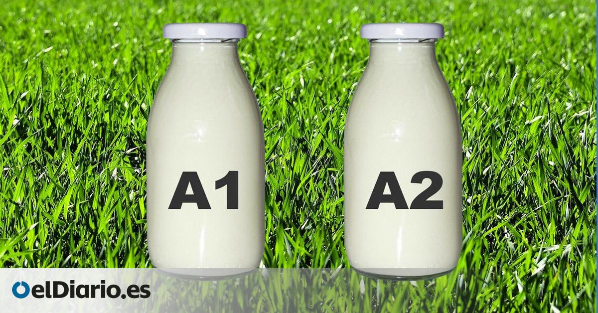 La verdad sobre la leche A1 y A2