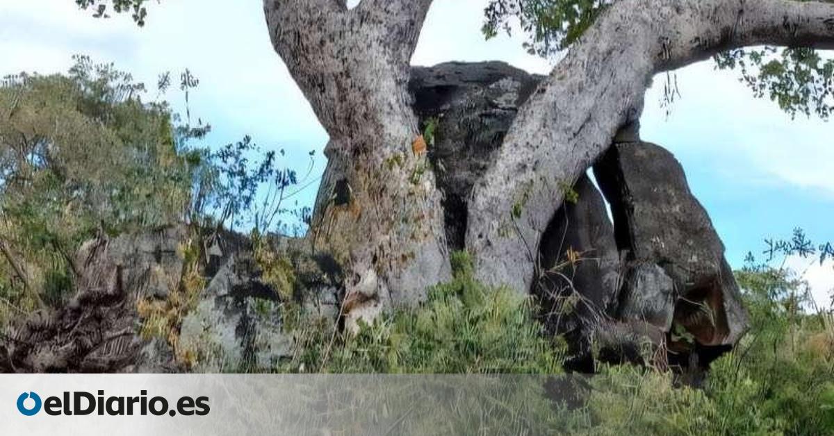 Leticia marches fudemdo i hope to see her again sometime