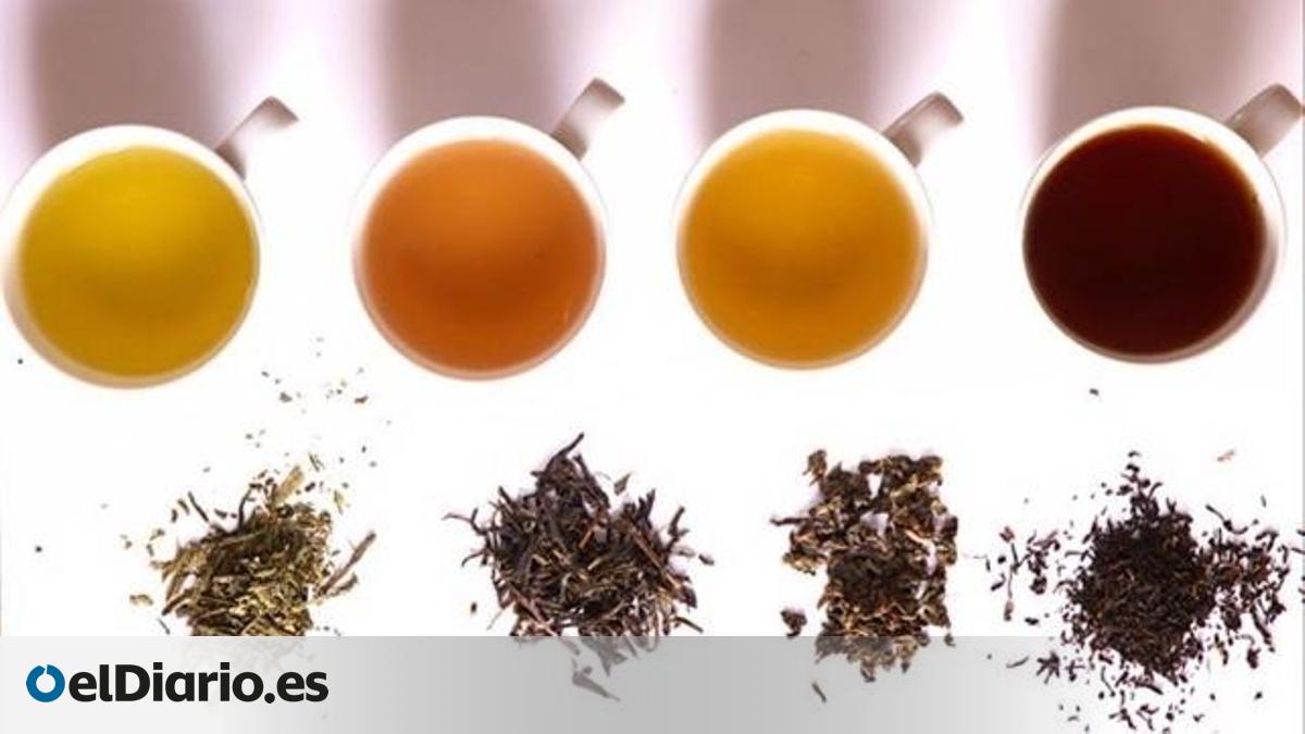 ¿En qué se diferencian el té blanco, el negro, el verde, el azul y el rojo?