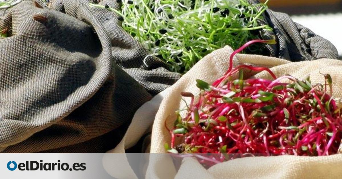 Los brotes verdes crecen en Madrid