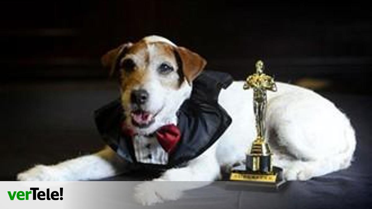 Muere Uggie, el famoso perro de ‘The Artist’