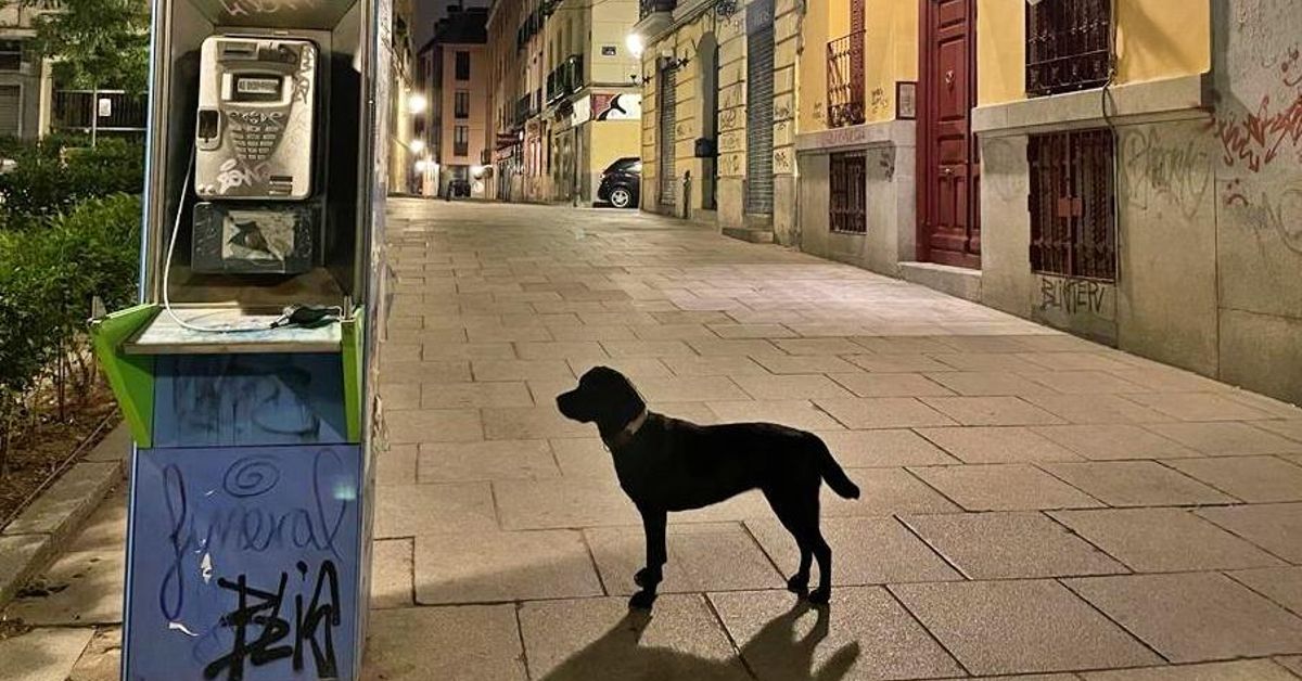 El halcón, la monja y la chica del áfter | Somos Madrid