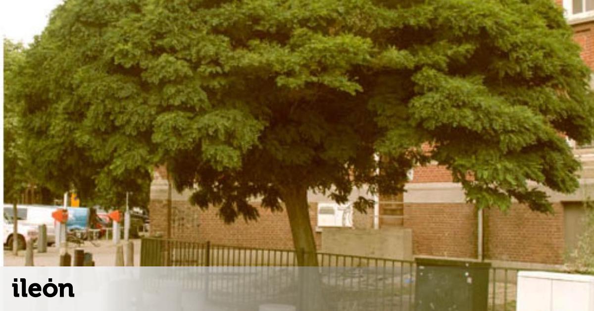 Fermín Jiménez Landa & Lee Welch