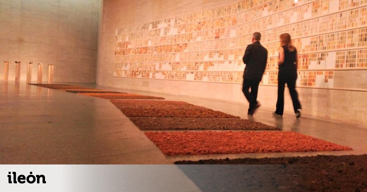 La naturaleza se cuela en el interior del Musac a través de cuatro ...