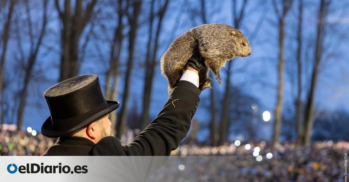 Día de la Marmota 2025: Por qué se celebra el 2 de febrero y cuál es su ...