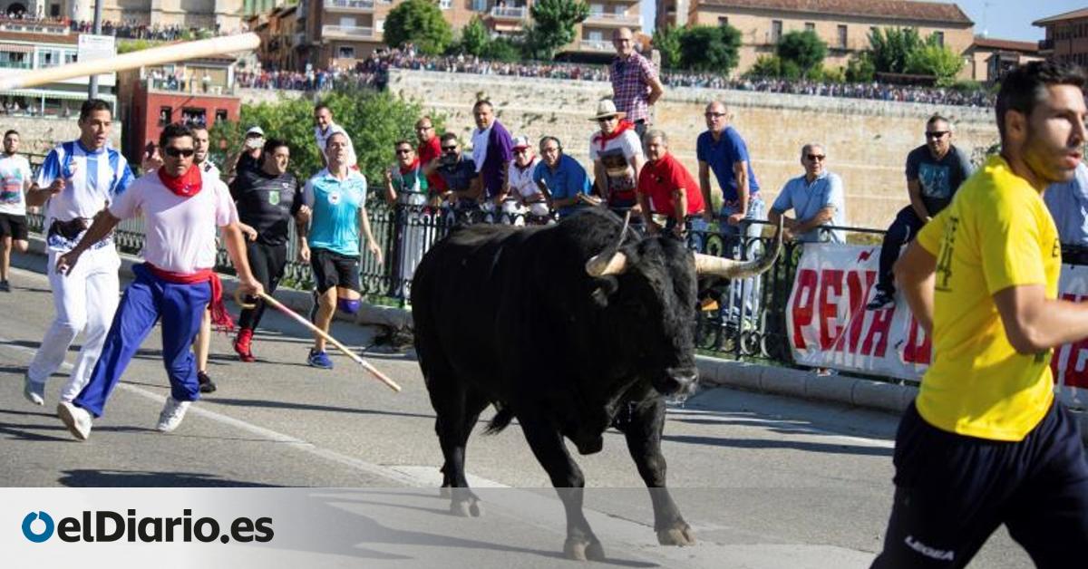 Un partido con 82 votantes en Tordesillas alude a los "derechos humanos ...