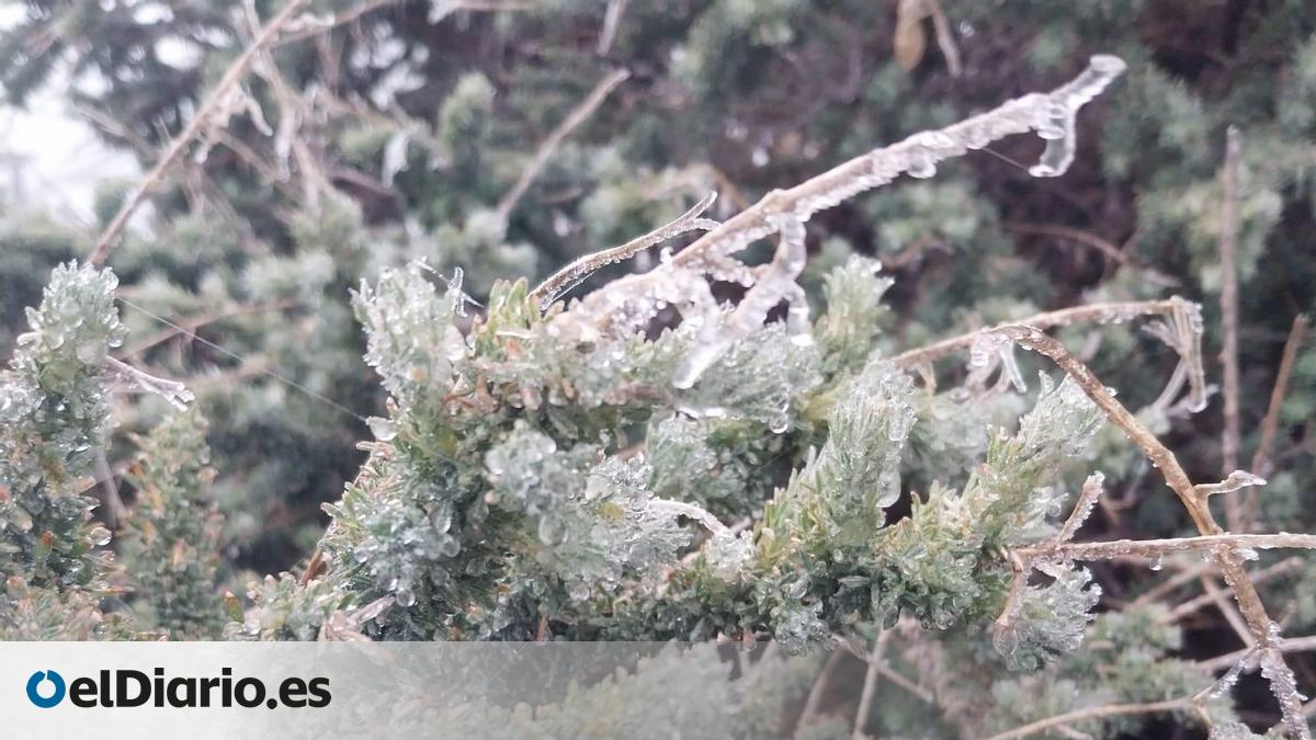 Sub-Zero Temperatures: Ice & Frost Guide - NewsyList