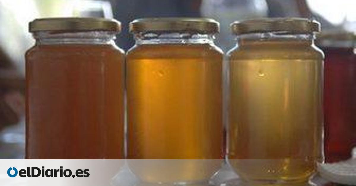 Gran Canaria, con stand propio en la Feria Apícola