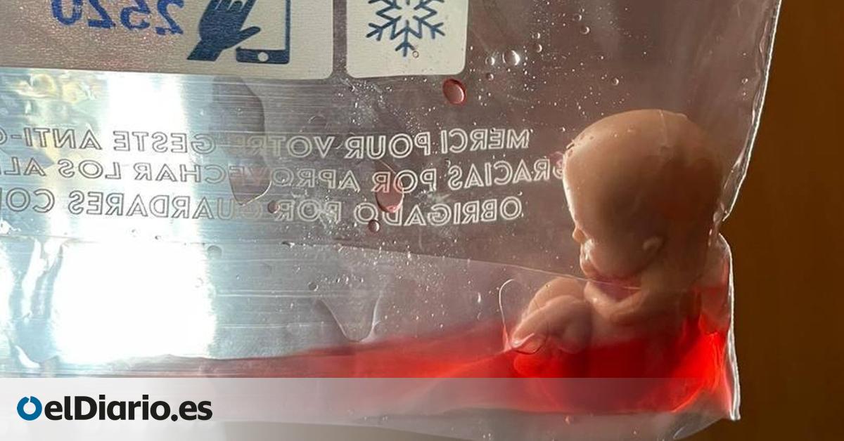 HazteOir envía fetos de plástico a los diputados del Congreso contra la ...