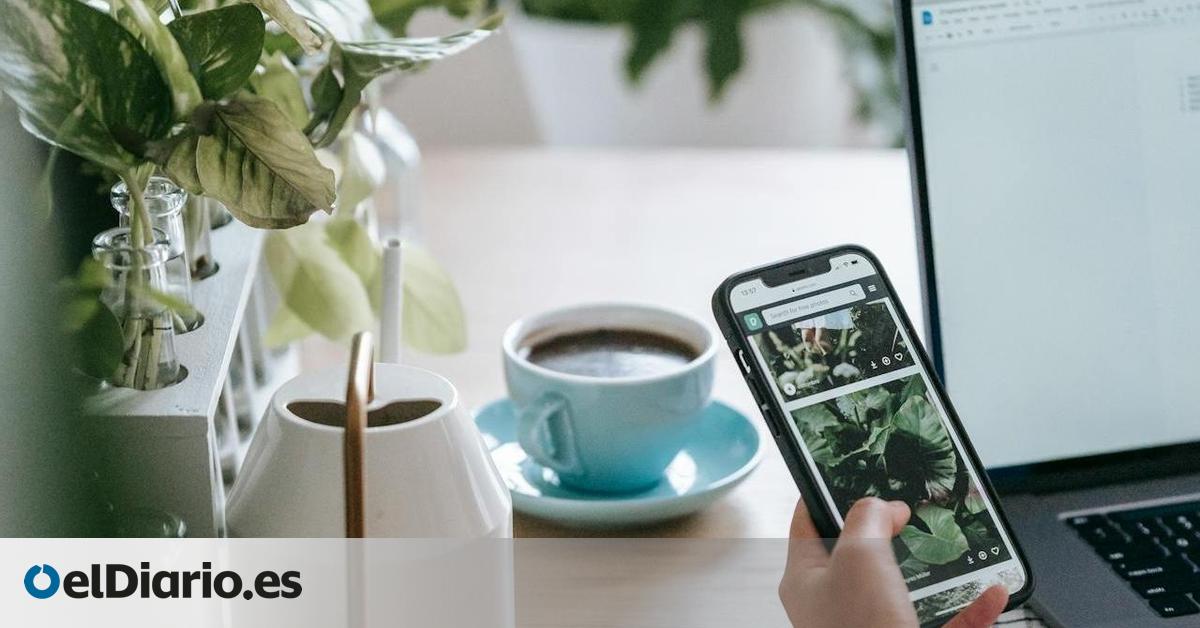 ¿Falta agua o abono? Apps para identificar y cuidar mejor tus plantas