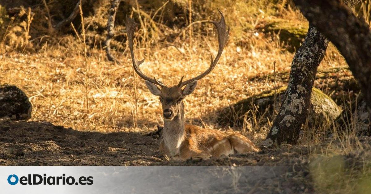 Seis planes de otoño para una escapada en España
