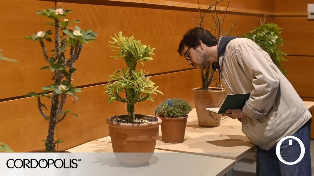 Las 700 plantas de Ángel María que vivirán para siempre en el Jardín ...