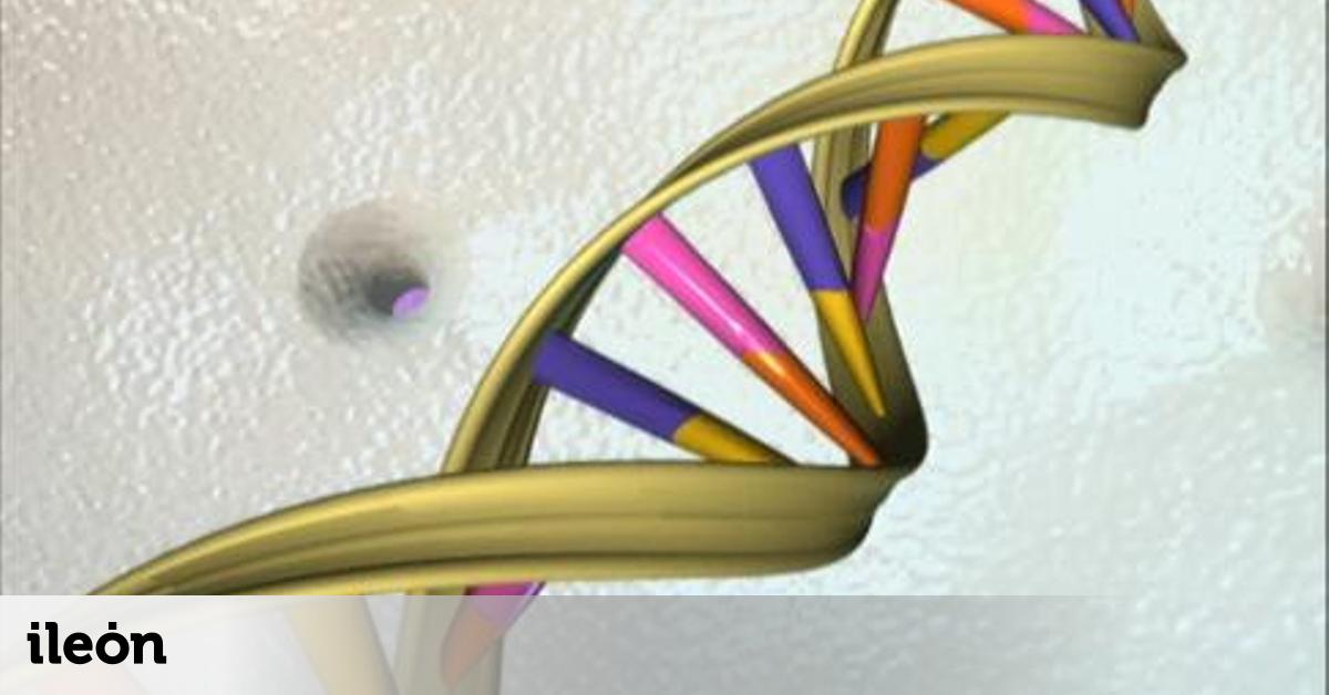 Secuenciados más de mil genomas de individuos de todo el mundo