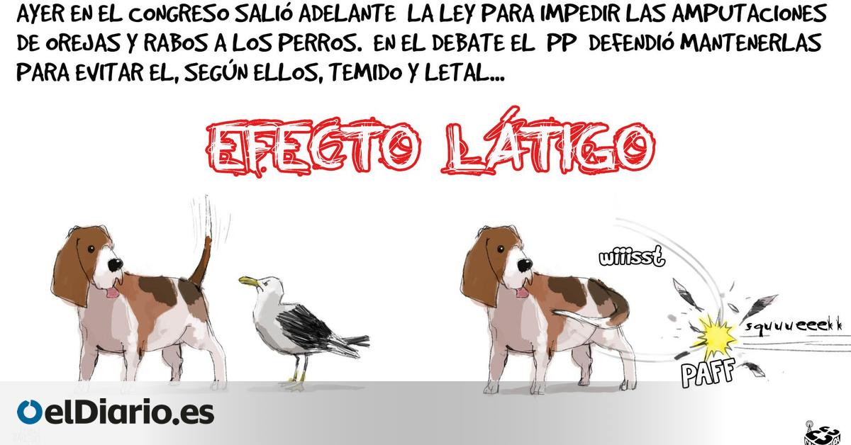 Efecto látigo