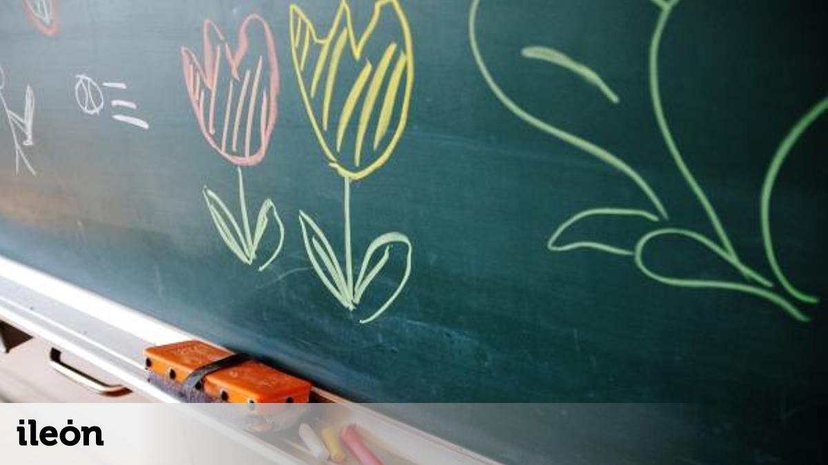 IU León reclama infraestructuras educativas de calidad que sean ...