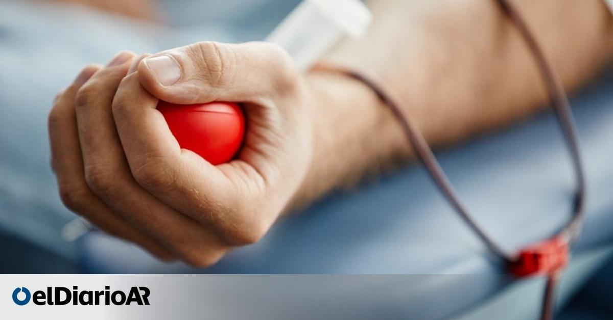 Efemérides: Día Mundial del Donante de Sangre: ¿por qué se celebra el 14 de junio? - elDiarioAR.com
