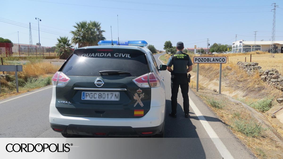 La Guardia Civil detiene a una persona que fue sorprendida vendiendo ...
