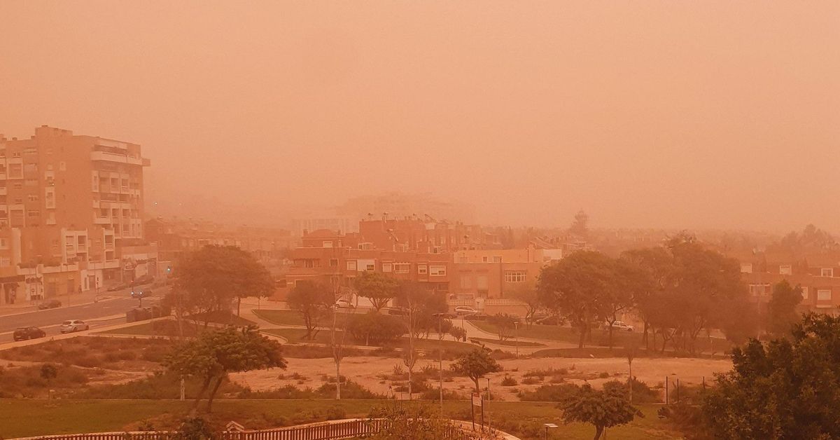Mascarillas, no hacer ejercicio y salir poco de casa, las ...